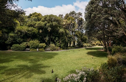Things to do in Lower Hutt, Wellington, NZ I Neat Places