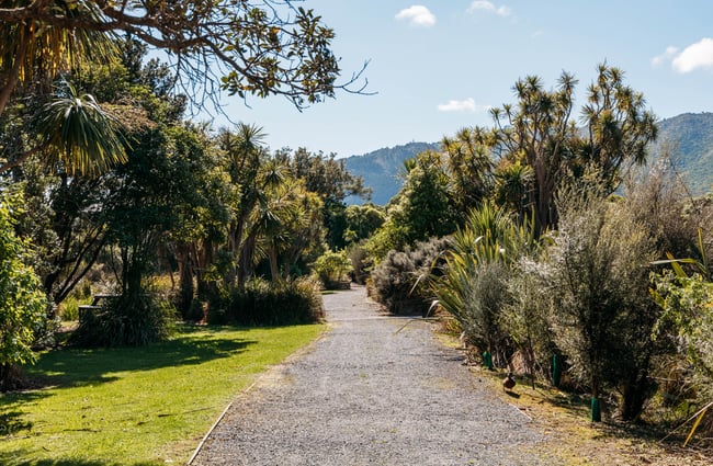 Ngā Manu Nature Reserve, Waikanae, New Zealand | Neat Places