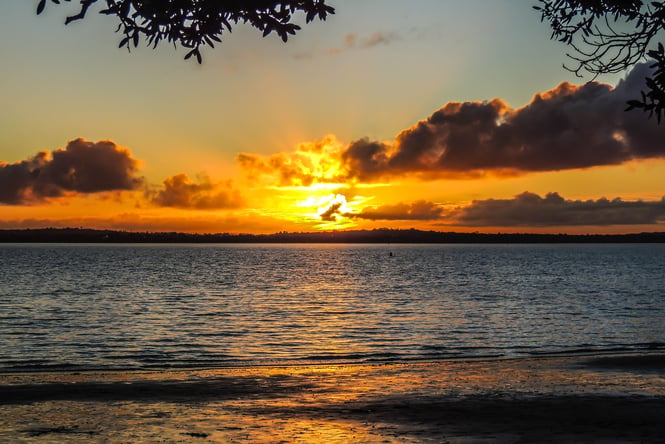 Your Guide to Point Chevalier, Auckland I Neat Places