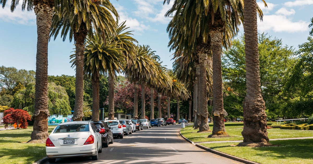 A Day Guide to Victoria Esplanade, Palmerston North