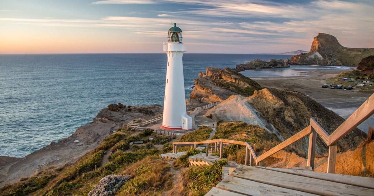 Best Summer Day Trips from Wellington