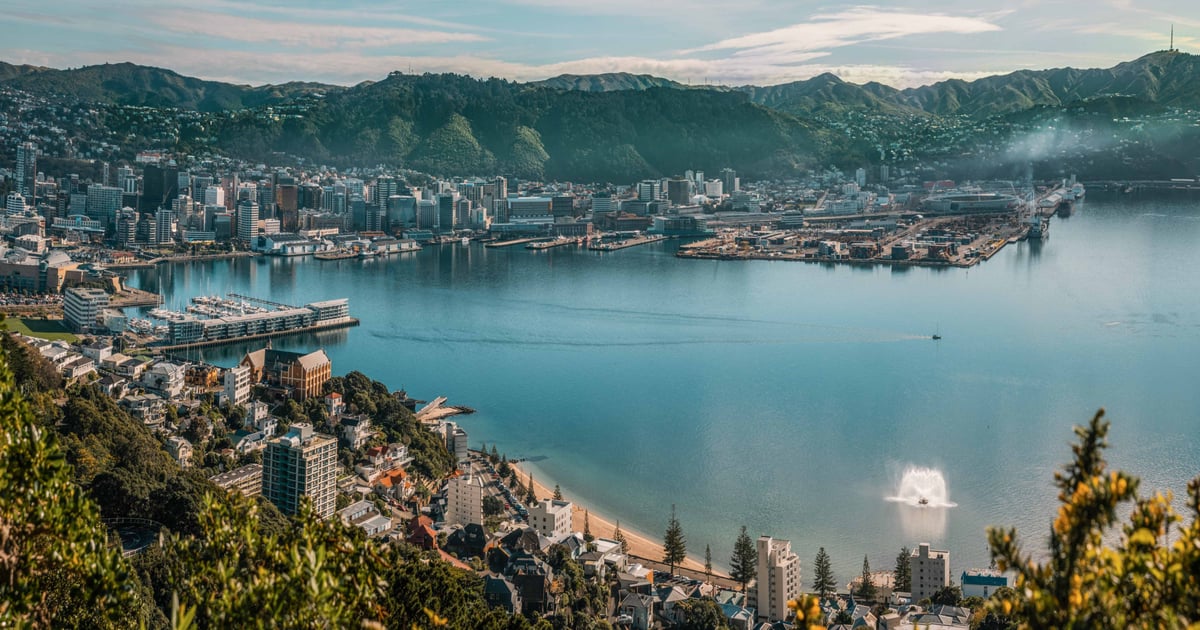 Seats in the City: The best places to take in the view in We