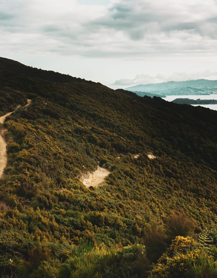 Hutt Valley | Neat Places