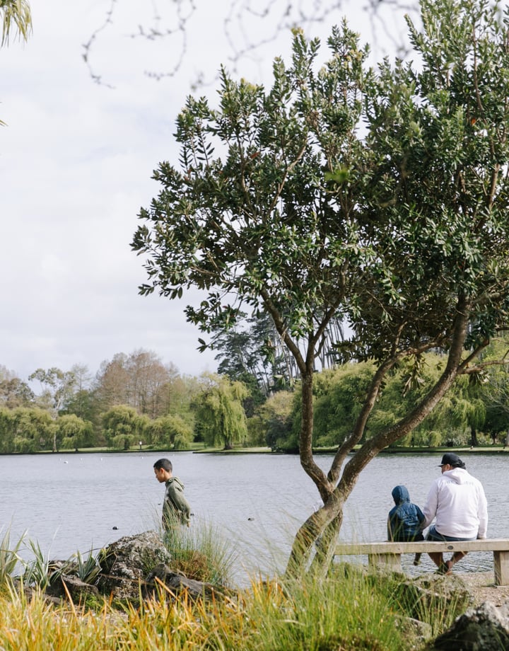 Where to Eat and Drink in Auckland I Neat Places