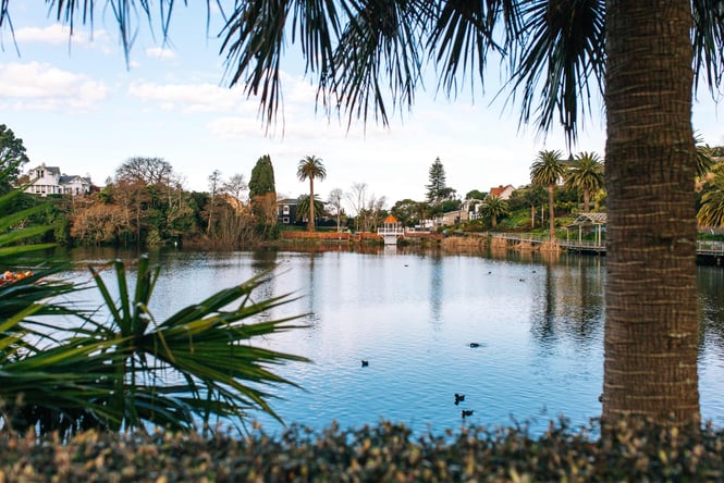 Best Wellington day trips, New Zealand I Neat Places