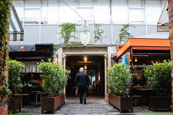 Your Walking Guide to Auckland, New Zealand I Neat Places