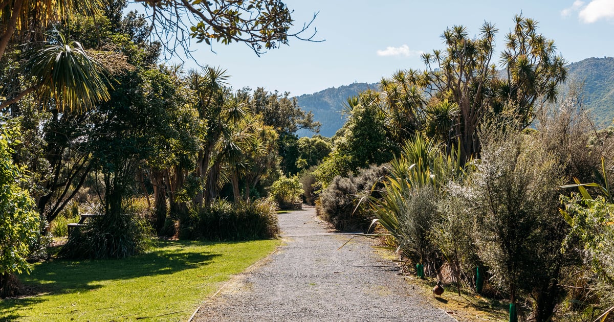 Ngā Manu Nature Reserve, Waikanae, New Zealand | Neat Places