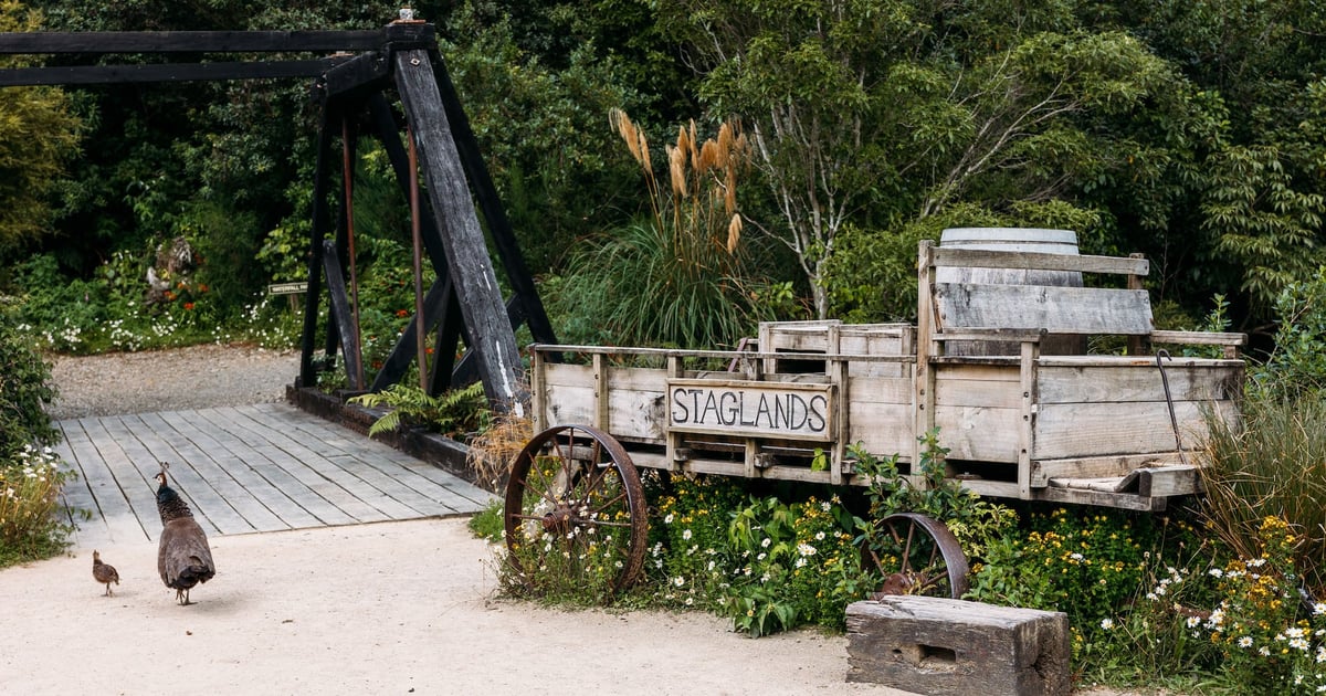 Staglands, Upper Hutt, Wellington, New Zealand | Neat Places