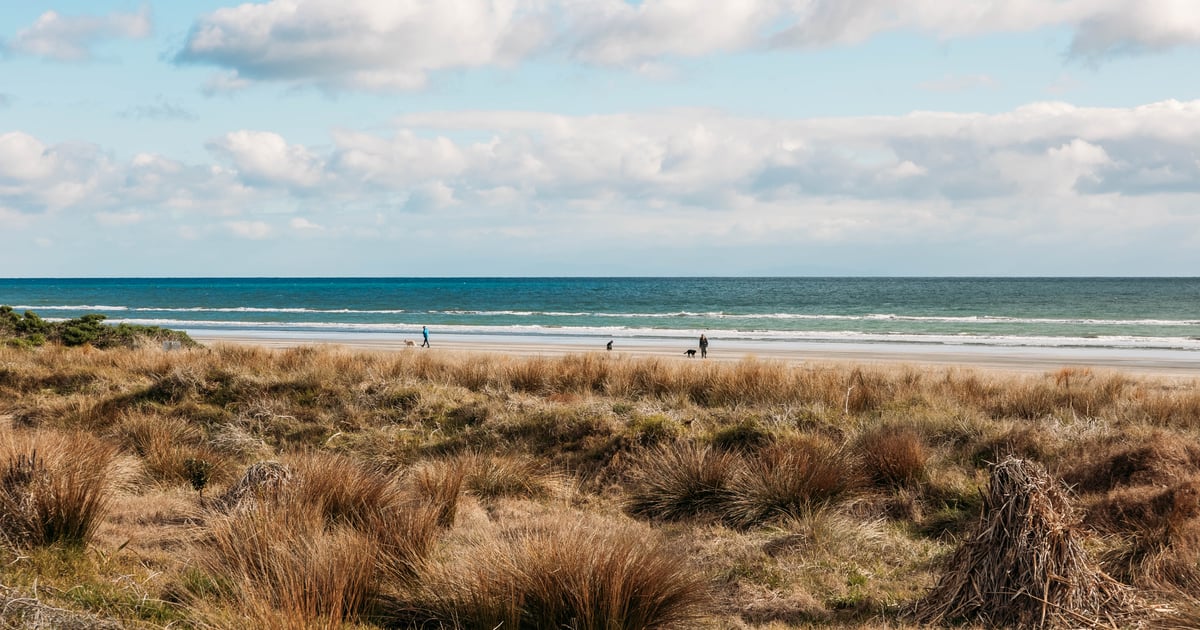 Your Kāpiti Coast Summer Guide, NZ | Neat Places
