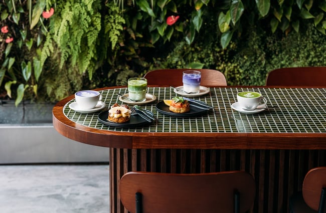 Glou Glou, Wellington, New Zealand | Neat Places