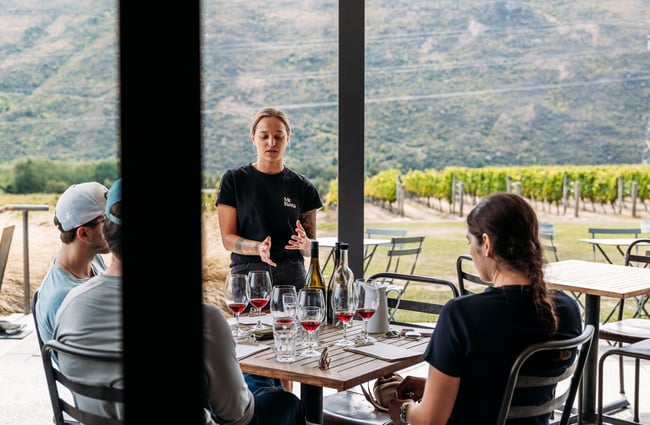 Mt Rosa Wines, Gibbston Valley, New Zealand I Neat Places