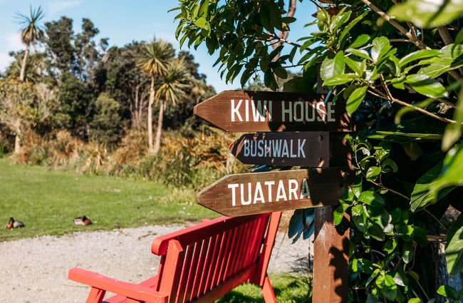 Ngā Manu Nature Reserve, Waikanae, New Zealand | Neat Places