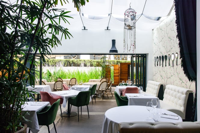 Where to dine this Christmas in Parnell, Auckland