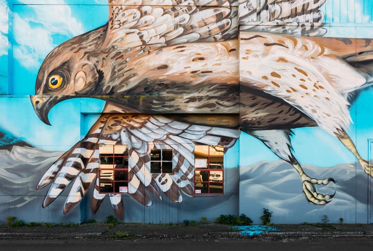 A Walking Wonders Art Tour of Hastings, NZ I Neat Places