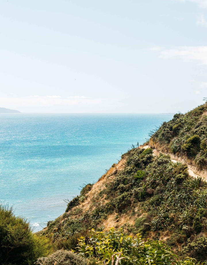 Kāpiti Coast | Neat Places
