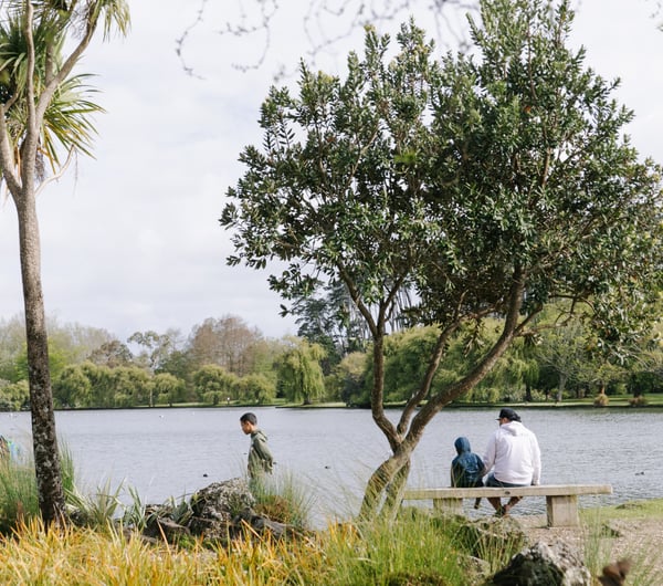 Auckland | Stories | Neat Places