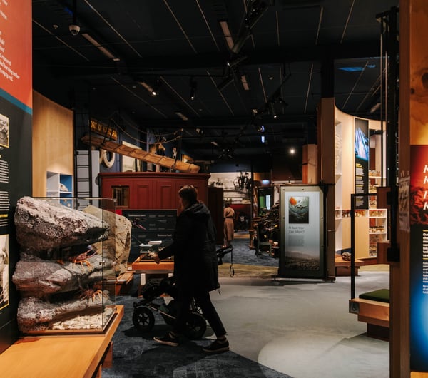 A Self-Guided Storytelling Tour of Kaikōura I Neat Places