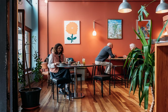 12 Hour Guide to Dunedin, New Zealand I Neat Places