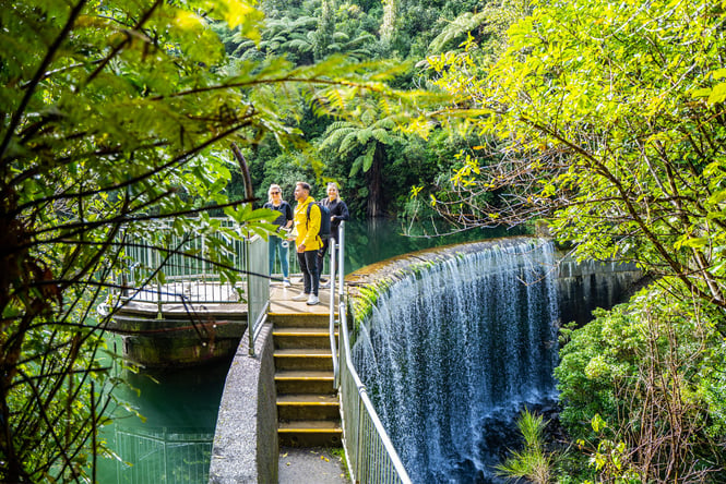 Best Hutt Valley Walks and Where to Eat After I Neat Places
