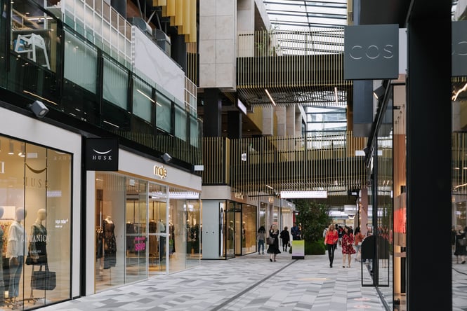 Your Walking Guide to Auckland, New Zealand I Neat Places