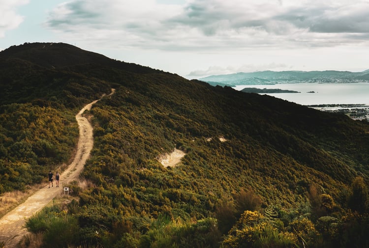 Best Hutt Valley Walks and Where to Eat After I Neat Places